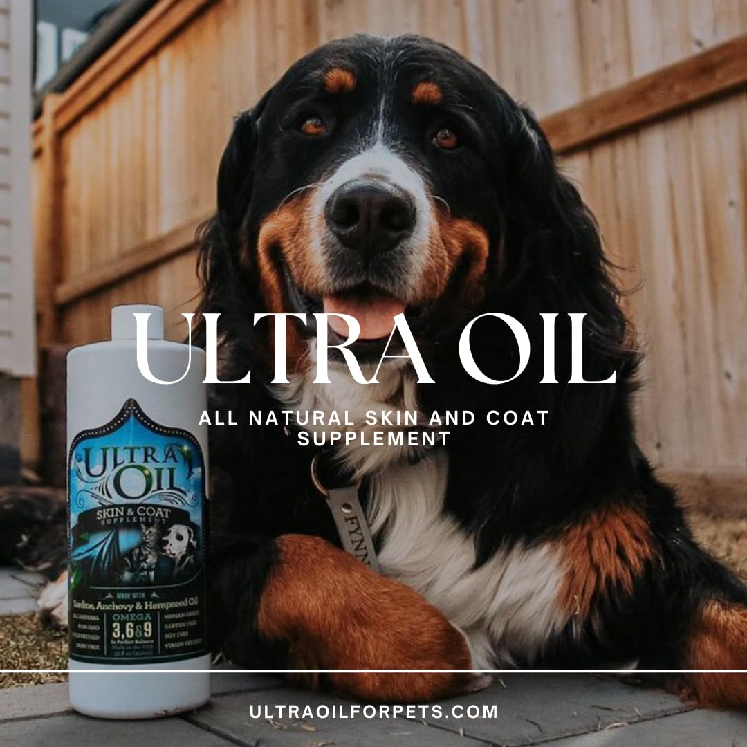 Ultra Oil Skin and Coat Supplement for Dogs & Cats - Hemp Seed Oil, Flaxseed Oil, Grape Seed Oil, Fish Oil for Relief from Dry Itchy Skin, Dandruff, and Allergies (8oz)