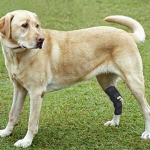 Rear Dog Leg Brace One Pair Heals Hock Joint Wrap Sleeve for Hind Legs(L/Long)