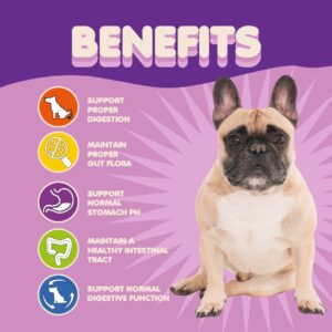 Probiotics for Dogs & Puppies–Extra Strength 9 Species, 5 Billion CFU per Scoop of Dog Probiotics and Digestive Enzymes for Dogs. Support Fiber for Dogs & Dog Allergy Relief– Powder Probiotic for Dogs