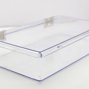 Clear Hinged Plastic Box 10 3/8" L x 6" W x 2" H - 1 Piece Per Pack