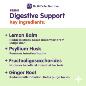 Dr. Bill's Feline Digestive Support Cat Prebiotics and Probiotics with Ginger Root, Psyllium Husk, Lemon Balm & More | 41 Active Ingredients for Better Digestion & Gut Health | Made in The USA