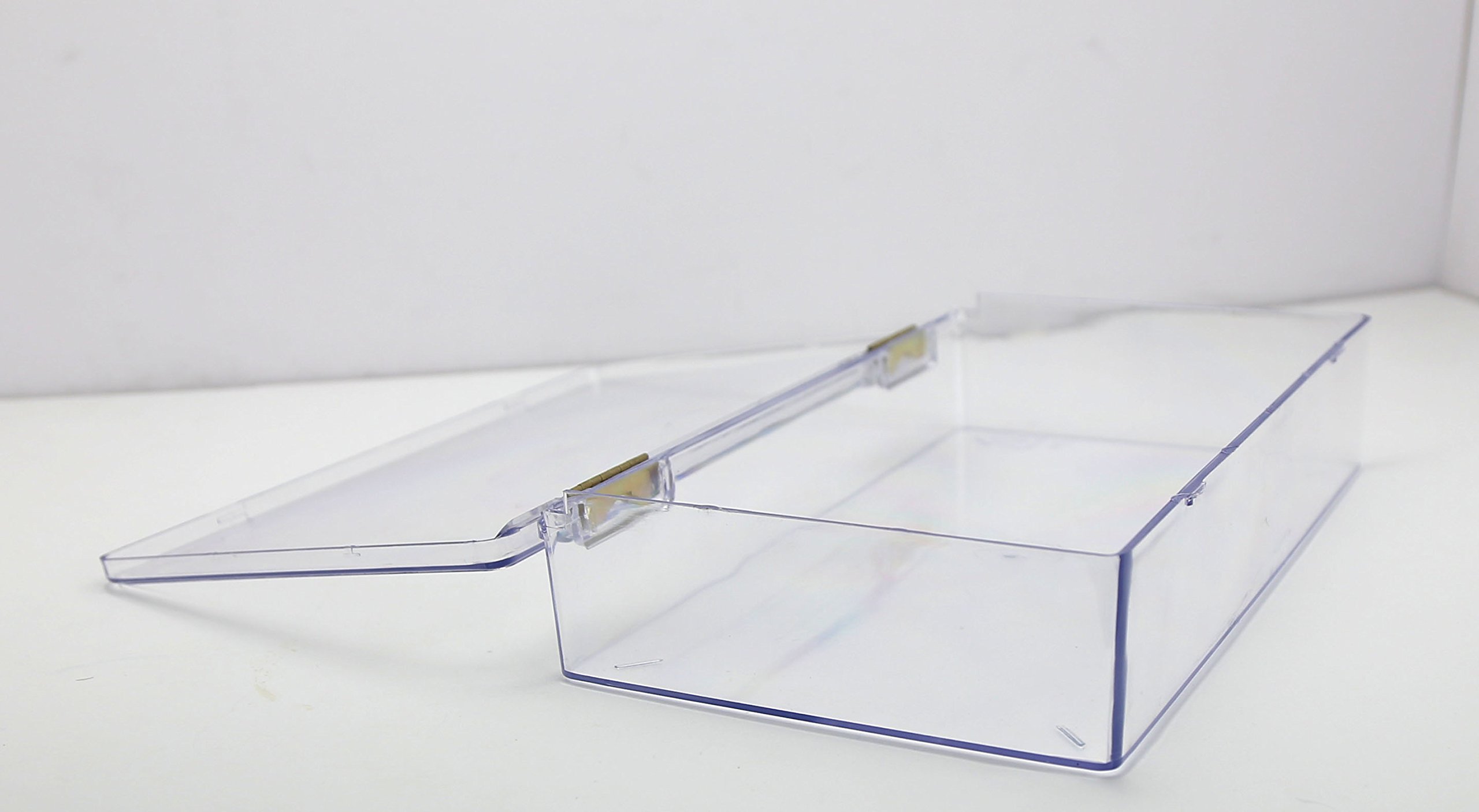 Clear Hinged Plastic Box 10 3/8" L x 6" W x 2" H - 1 Piece Per Pack