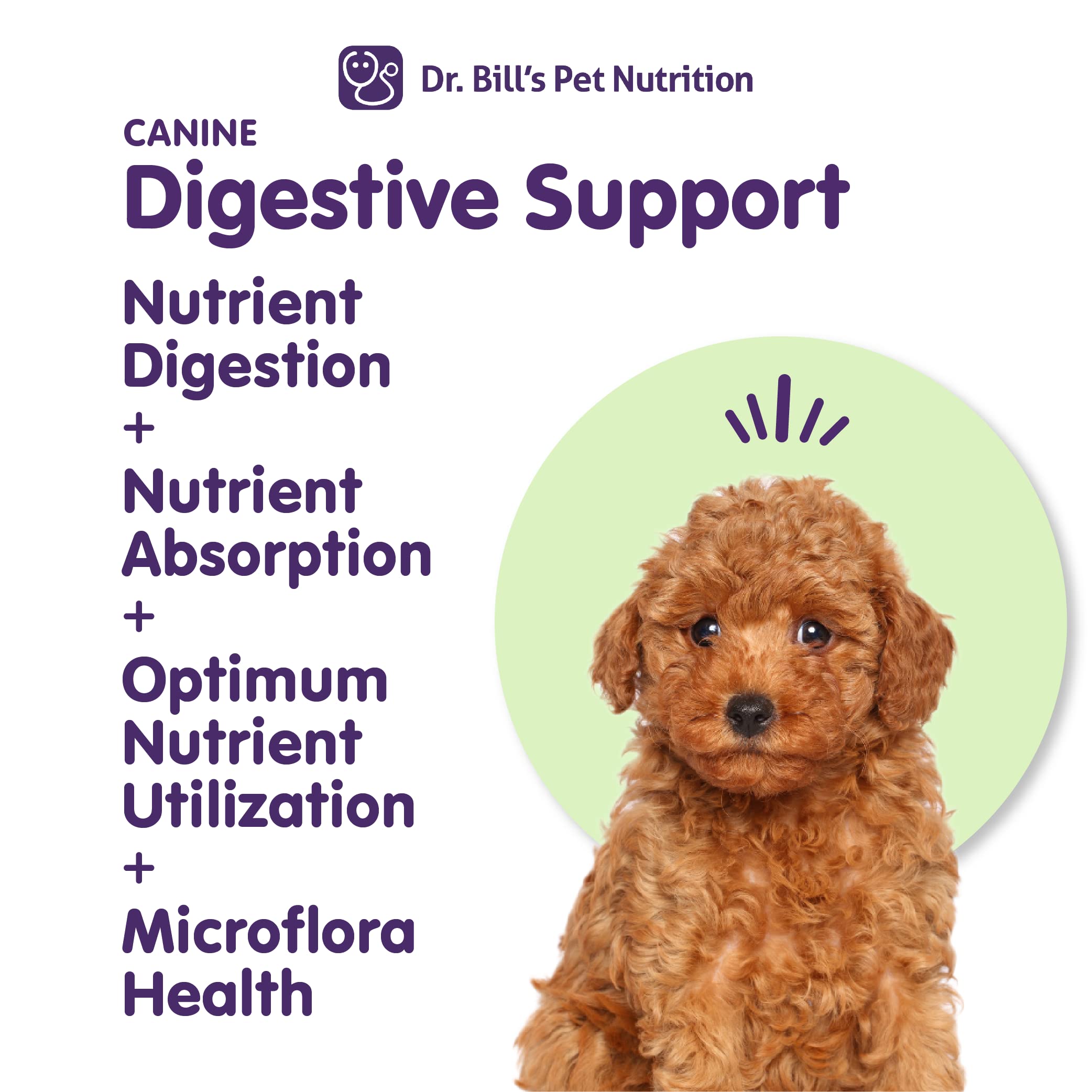 Dr. Bill’s Canine Digestive Support | Probiotics & Prebiotics for Dogs | Gut Health Pet Supplements | Contains Ginger Root, Psyllium Husk, Lemon Balm and Bifidobacterium