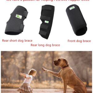 Rear Dog Leg Brace One Pair Heals Hock Joint Wrap Sleeve for Hind Legs(L/Long)