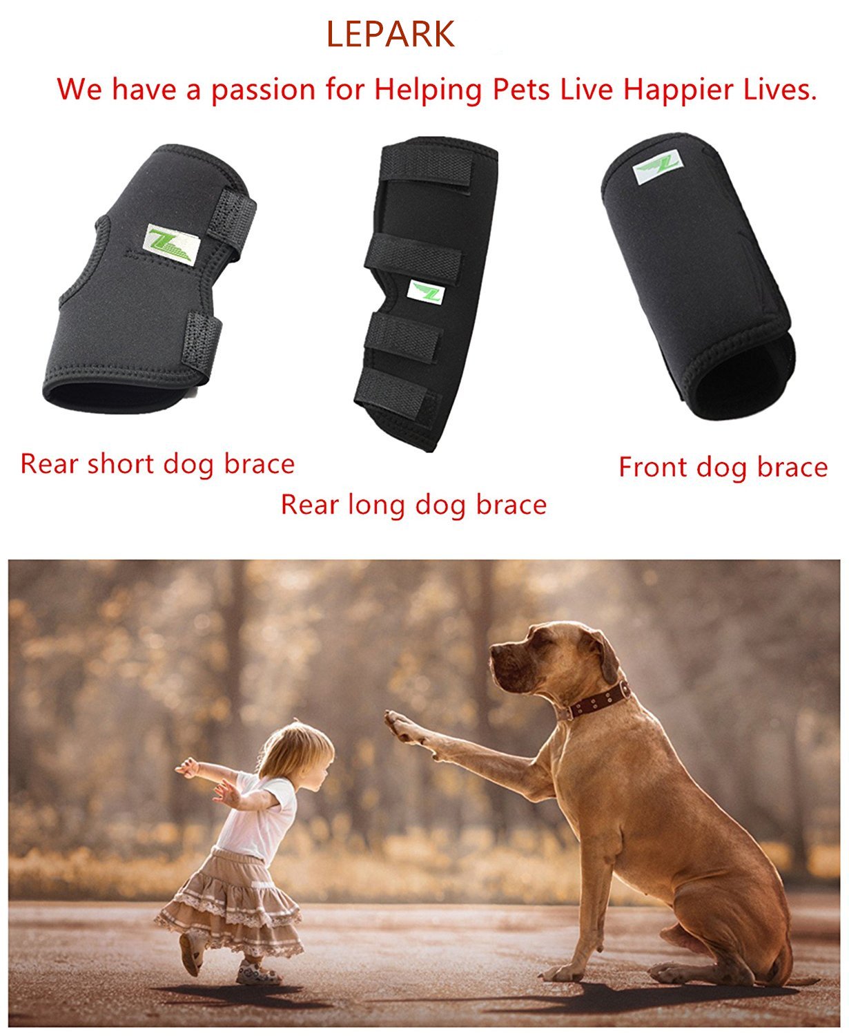 Rear Dog Leg Brace One Pair Heals Hock Joint Wrap Sleeve for Hind Legs(L/Long)