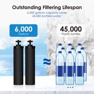 Waterdrop NSF/ANSI 42&372 Certified Water Filter, Replacement for Berkey® BB9-2® Black Filters, Berkey® Gravity Water Filter System and Waterdrop King Tank Series, (Pack of 2)