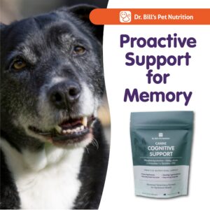 Dr. Bill’s Canine Cognitive Support | Memory Support Supplement Multivitamin for Dogs | Contains Gingko Biloba, L-Carnosine, Vitamin B-12, L-Glutamine, L-Tyrosine, and DHA for Adult and Senior Dog