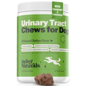 Deley Naturals Dog UTI Prevention - 120 Grain Free Soft Chews - Incontinence, Bladder, Kidney & Immune System Support - Cranberry Pills - D-Mannose & Echinacea - Made in USA - Natural Chicken Flavor