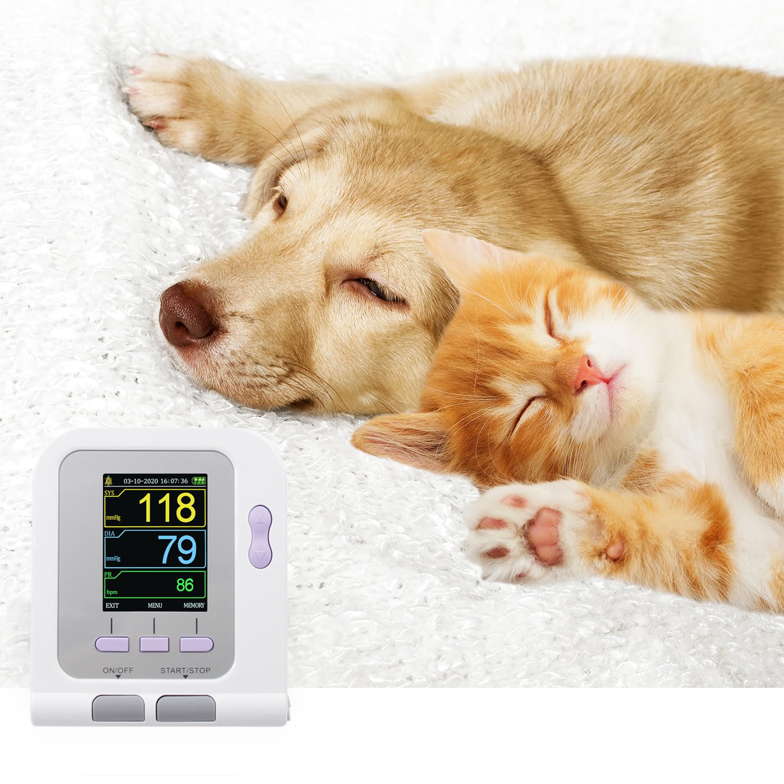 Veterinary/Animal use Automatic Blood Pressure Monitor for cat/Dog,One-Year Warranty (1 Cuff)