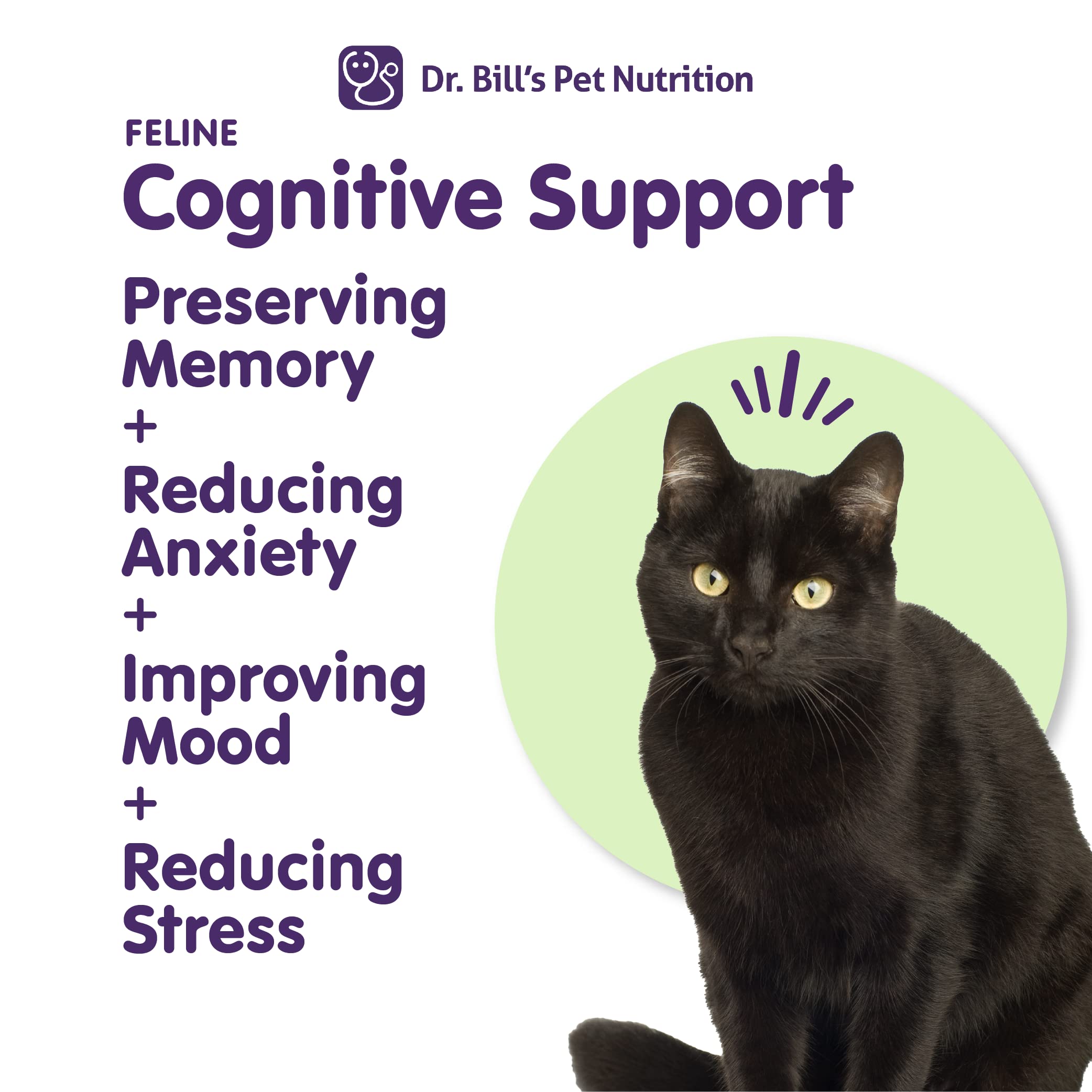 Dr. Bill's Feline Cognitive Support | Memory Support Supplement for Cats | Pet Supplement | Contains Gingko Biloba, L-Carnosine, Vitamin B-12, L-Glutamine, L-Tyrosine, and DHA