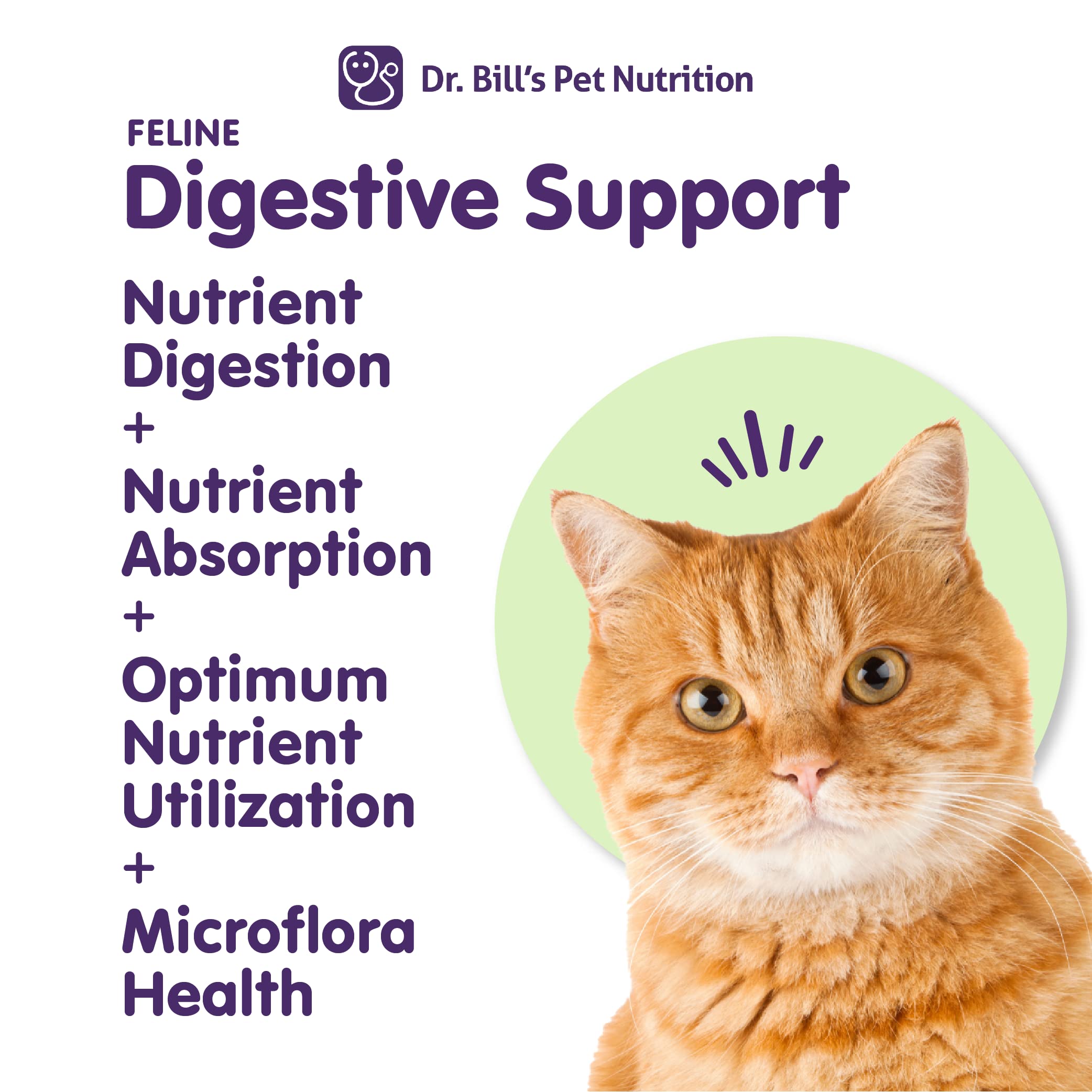 Dr. Bill's Feline Digestive Support Cat Prebiotics and Probiotics with Ginger Root, Psyllium Husk, Lemon Balm & More | 41 Active Ingredients for Better Digestion & Gut Health | Made in The USA