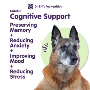 Dr. Bill’s Canine Cognitive Support | Memory Support Supplement Multivitamin for Dogs | Contains Gingko Biloba, L-Carnosine, Vitamin B-12, L-Glutamine, L-Tyrosine, and DHA for Adult and Senior Dog