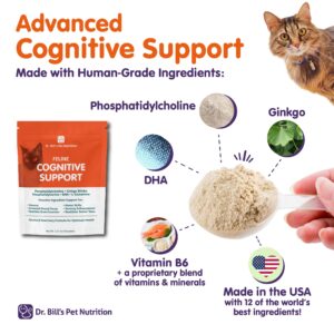 Dr. Bill's Feline Cognitive Support | Memory Support Supplement for Cats | Pet Supplement | Contains Gingko Biloba, L-Carnosine, Vitamin B-12, L-Glutamine, L-Tyrosine, and DHA