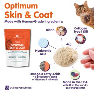 Dr. Bill’s Feline Optimum Skin & Coat – Fish Oil Omega-3 Fatty Acids for Cats Healthy Fur | Reduce Shedding and Hairballs with Biotin, Type I & III Marine Collagen, Hyaluronic Acid, & Folic Acid