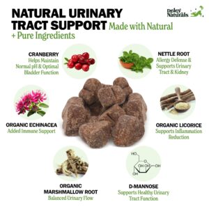 Deley Naturals Dog UTI Prevention - 120 Grain Free Soft Chews - Incontinence, Bladder, Kidney & Immune System Support - Cranberry Pills - D-Mannose & Echinacea - Made in USA - Natural Chicken Flavor