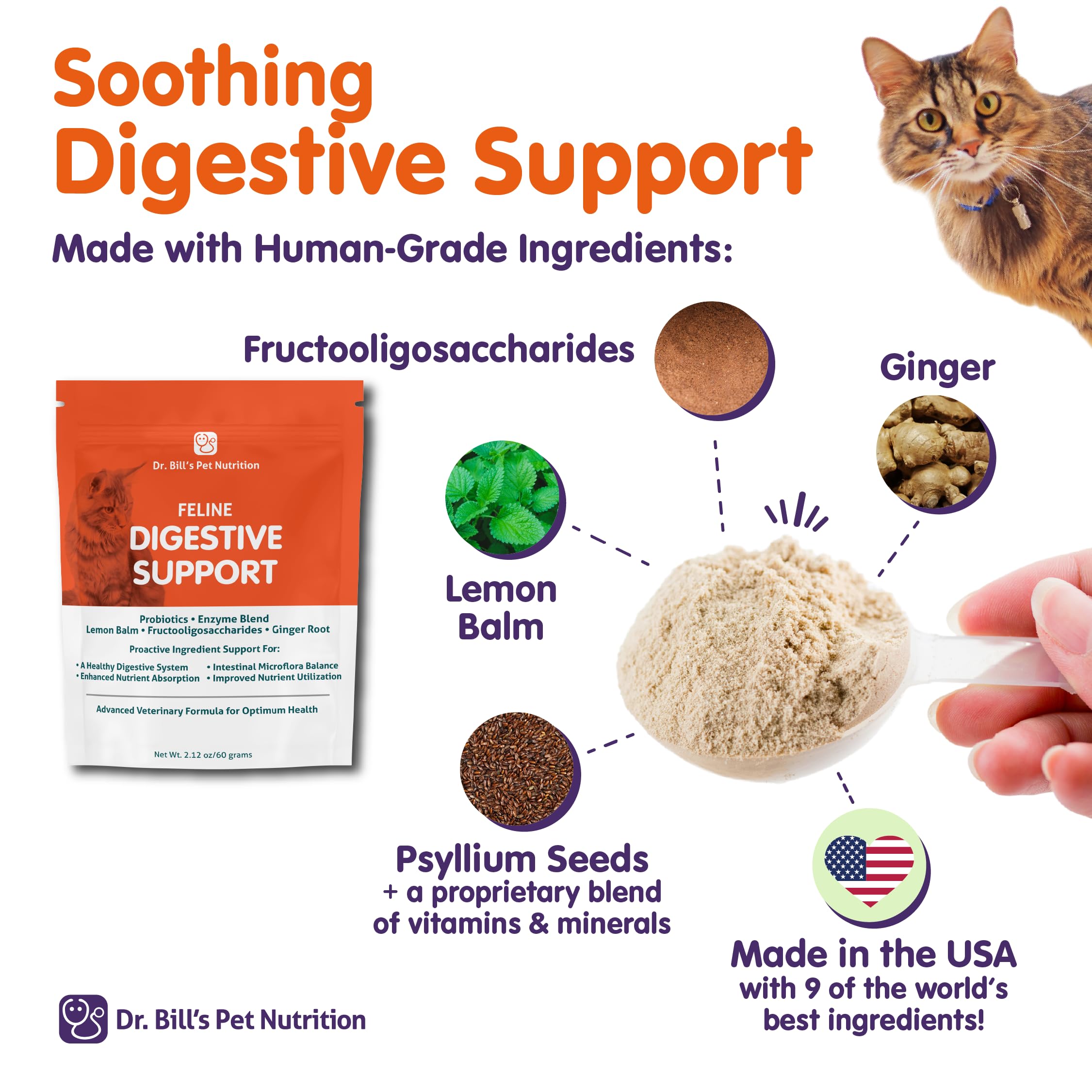 Dr. Bill's Feline Digestive Support Cat Prebiotics and Probiotics with Ginger Root, Psyllium Husk, Lemon Balm & More | 41 Active Ingredients for Better Digestion & Gut Health | Made in The USA