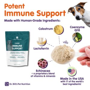 Dr. Bill’s Canine Immune Support | Immune Support for Dogs | Colostrum for Dogs | Pet Supplement | Includes Beta Glucan, Lactoferrin, Colostrum, Zinc, Coenzyme Q-10, and Bifidobacterium