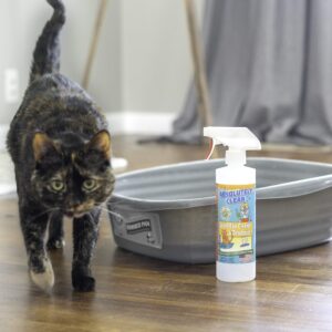 Absolutely Clean Litter Box Cleaner and Odor Eliminator, Eliminate Odors Quickly, Neutralizes Urine and Feces Odors in The Air and The Box, Make Litter Last Longer