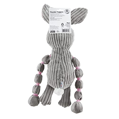 Outward Hound Thunda Tugga Bunny Plush & Squeaky Dog Tug Toy