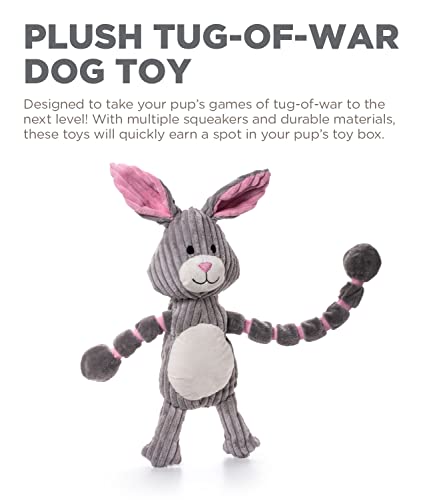 Outward Hound Thunda Tugga Bunny Plush & Squeaky Dog Tug Toy