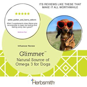 Herbsmith Glimmer - Dog Healthy Skin and Coat + Dog Treatment for Dry Itchy Skin - Omega-3 Supplement for Dogs - 60ct Large Chews