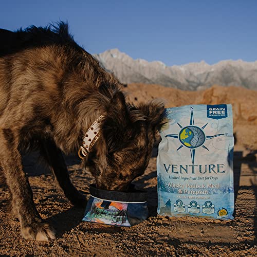 Venture Alaska Pollock Meal & Pumpkin Limited Ingredient Dry Dog Food