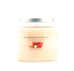 scentsational soaps & candles natural soy wax candle apple cinnamon