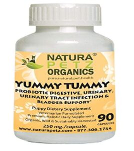 natura petz organics yumtumpup probiotic digestive urinary tract support