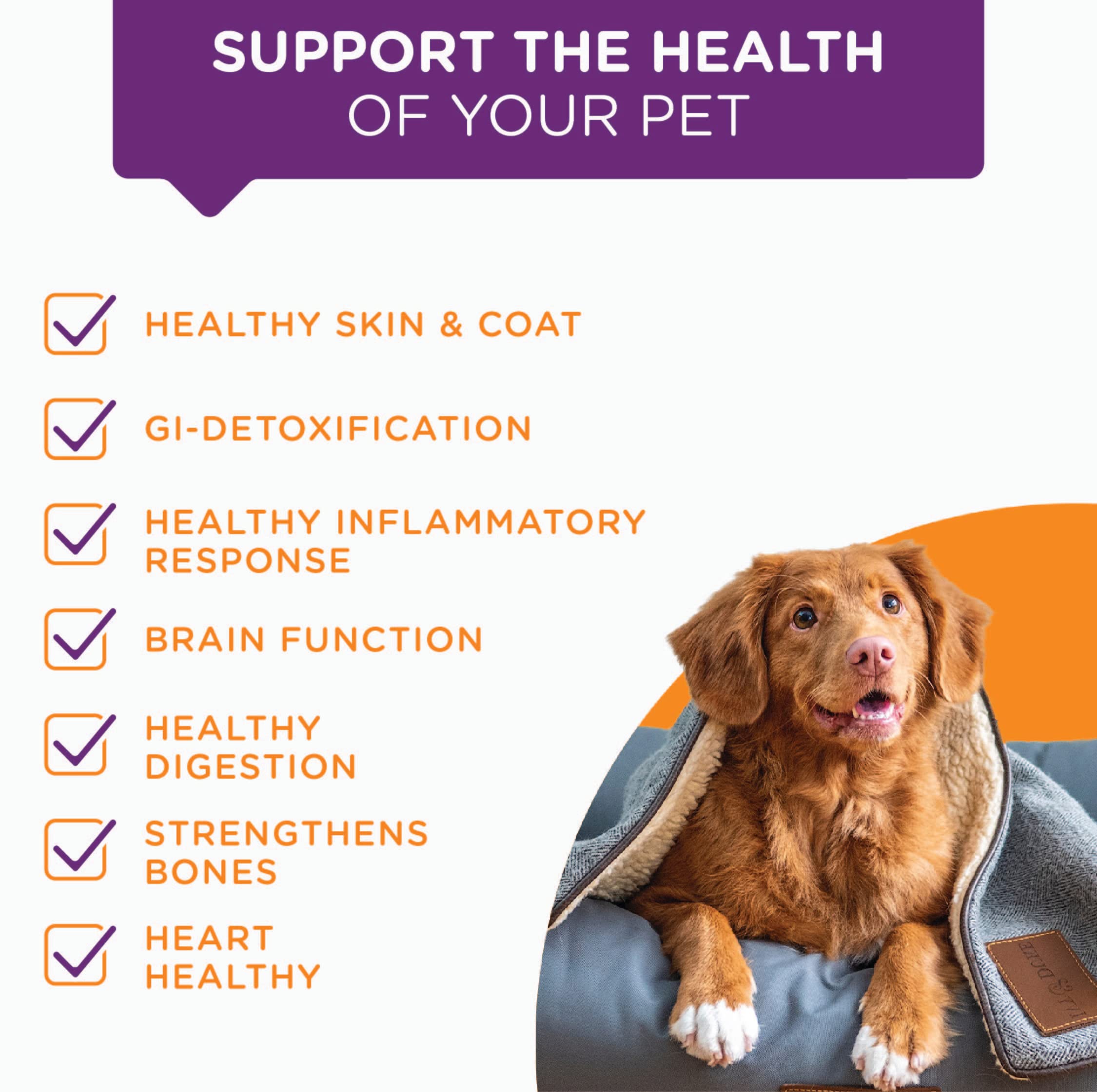 CurcuminPro® UltaPet™ Hip & Joint Dog Food Topper, Natures Joint & Hip Inflammation Support with Curcumin, Supports Healthy Cognitive & Immune Functions. (60 Servings)