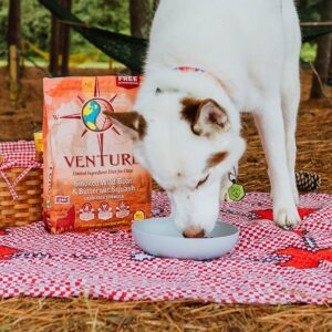 Venture Smoked Wild Boar & Butternut Squash Limited Ingredient Dry Dog Food