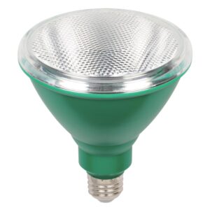 Westinghouse 3314900 100-Watt Equivalent PAR38 Flood Green Outdoor Weatherproof LED Light Bulb with Medium Base, Single Green 33149