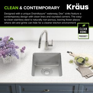 KRAUS Dex 17-Inch Undermount Single Bowl TRU16 Gauge Stainless Steel Kitchen Bar Sink with DrainAssure WaterWay and VersiDrain Assembly in Radiant Pearl Finish, KD1US17B