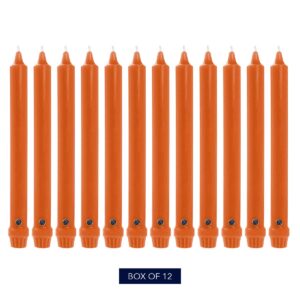 Colonial Candle Classic Taper Candle, 12 Inch, Pumpkin, pack of 12