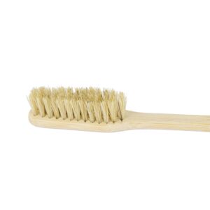 PETIQUE 100% Sustainable Bamboo Pet Toothbrush – Small: for Dogs/Cats/Pets, Smooth Bamboo Handle, Boar's Hair Bristle, Eco-Friendly, Sustainable, Biodegradable, Non-Toxic, Compostable