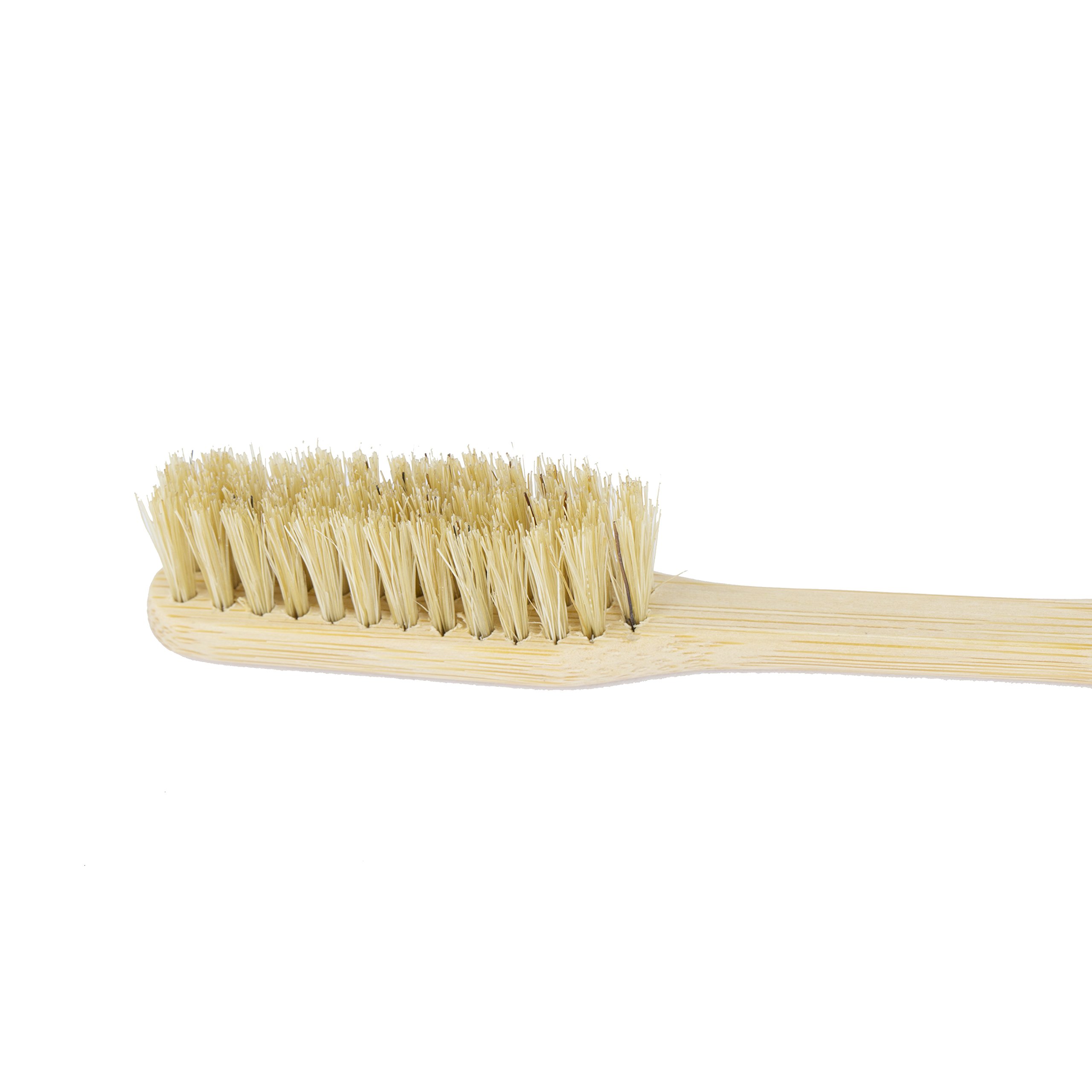 PETIQUE 100% Sustainable Bamboo Pet Toothbrush – Small: for Dogs/Cats/Pets, Smooth Bamboo Handle, Boar's Hair Bristle, Eco-Friendly, Sustainable, Biodegradable, Non-Toxic, Compostable