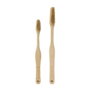 petique 100% sustainable bamboo pet toothbrush – small: for dogs/cats/pets, smooth bamboo handle, boar's hair bristle, eco-friendly, sustainable, biodegradable, non-toxic, compostable