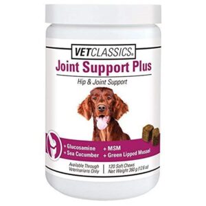 vet classics joint support plus dog supplement - hip health supplement for dogs – alleviates aches and discomfort - for flexibility, healthy joint function in canines – antioxidants – 120 soft chews