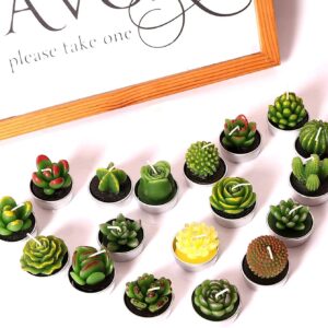 Succulent Cactus Candles (18 Styles,3 Thanks Cards&Gift Boxed) Succulent Decorative Tealights for Home Décor, SPA, Wedding, Baby Shower,Birthday Gift,Mothers Day Gifts,Christmas Gift Decor