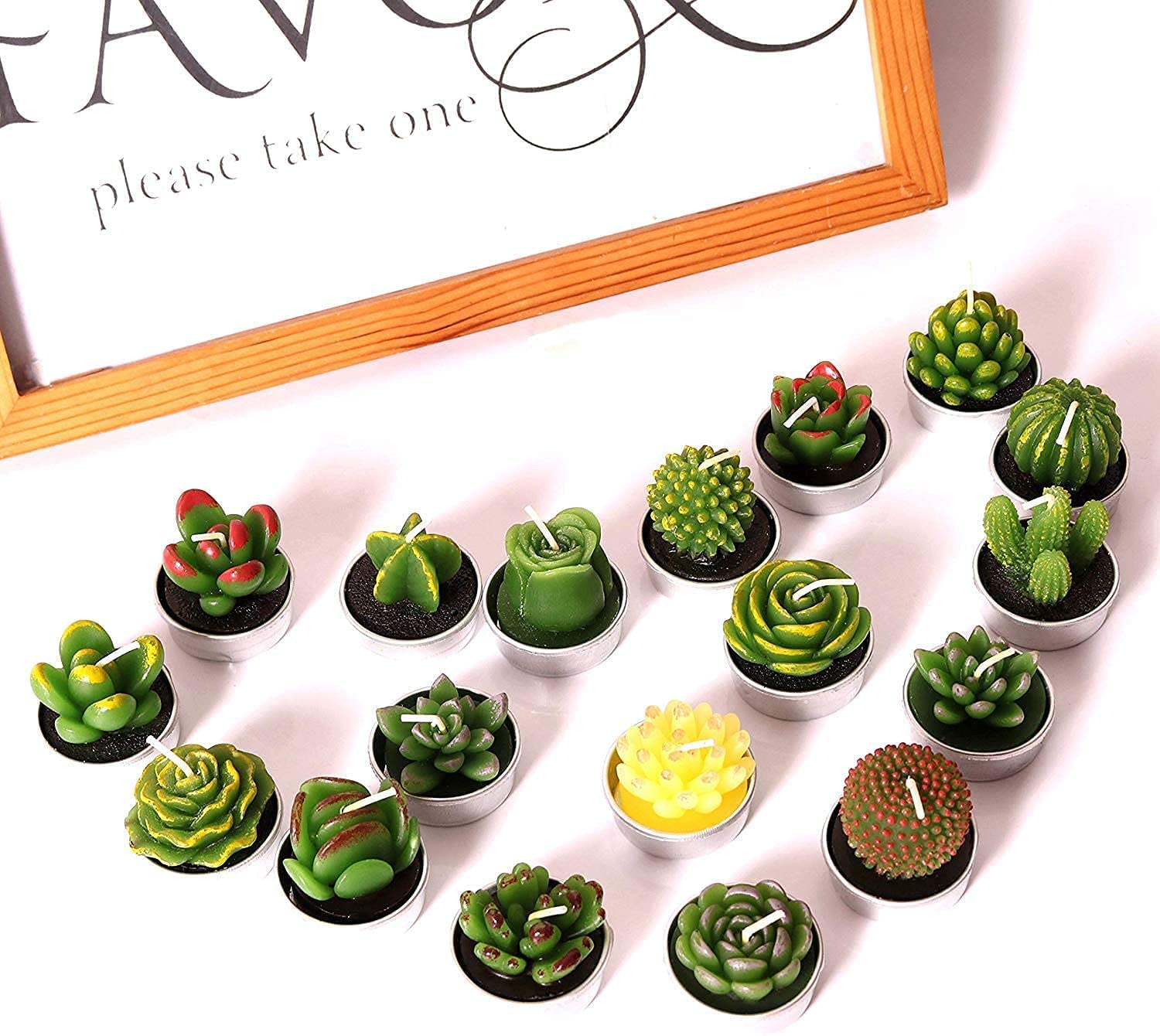 Succulent Cactus Candles (18 Styles,3 Thanks Cards&Gift Boxed) Succulent Decorative Tealights for Home Décor, SPA, Wedding, Baby Shower,Birthday Gift,Mothers Day Gifts,Christmas Gift Decor