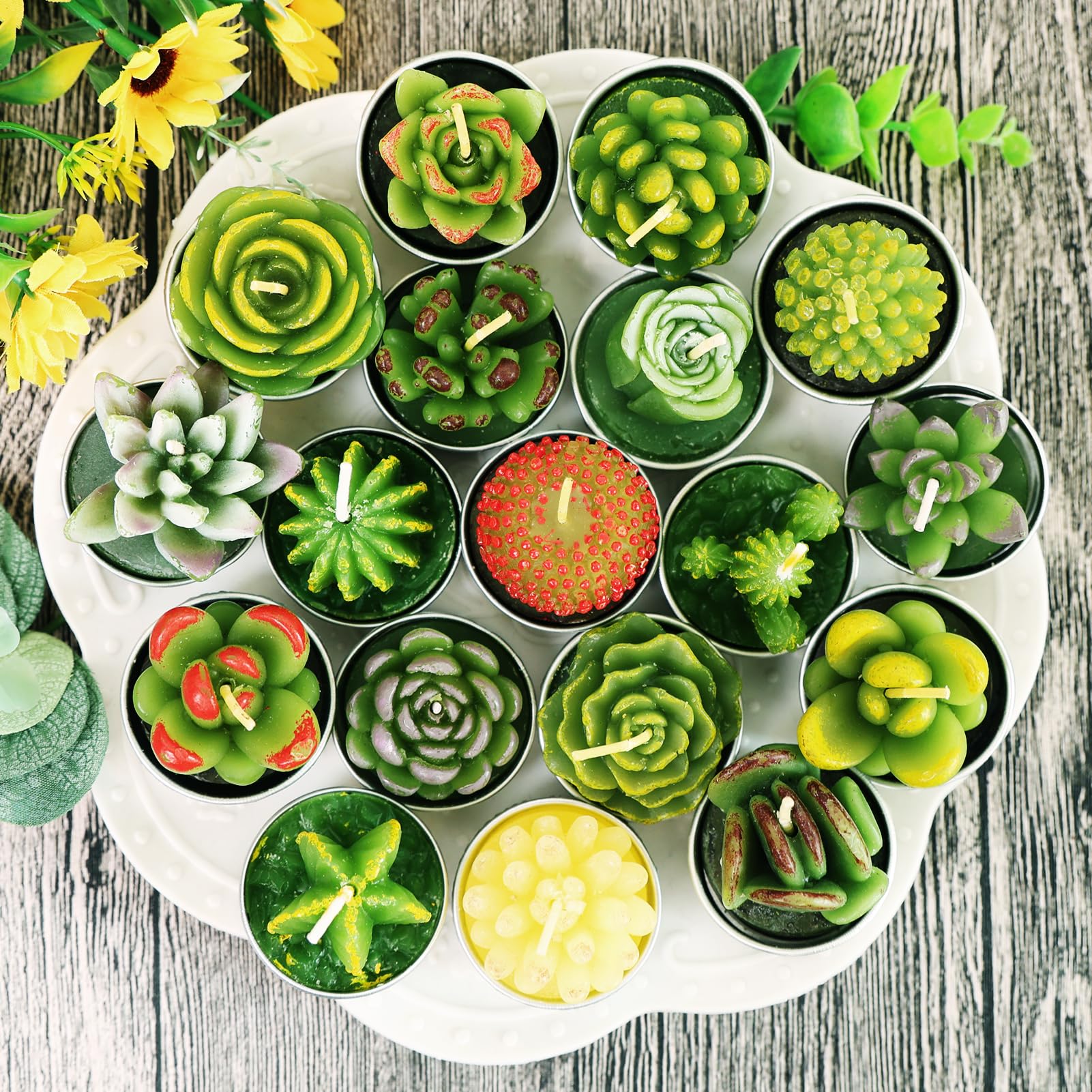 Succulent Cactus Candles (18 Styles,3 Thanks Cards&Gift Boxed) Succulent Decorative Tealights for Home Décor, SPA, Wedding, Baby Shower,Birthday Gift,Mothers Day Gifts,Christmas Gift Decor