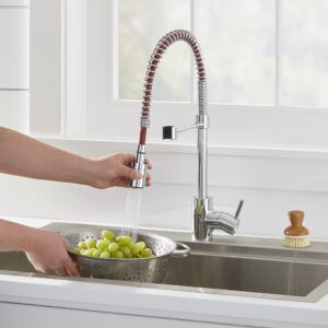 Gerber Plumbing The Foodie Single Handle Pre-Rinse Kitchen Faucet