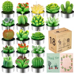 succulent cactus candles (18 styles,3 thanks cards&gift boxed) succulent decorative tealights for home décor, spa, wedding, baby shower,birthday gift,mothers day gifts,christmas gift decor