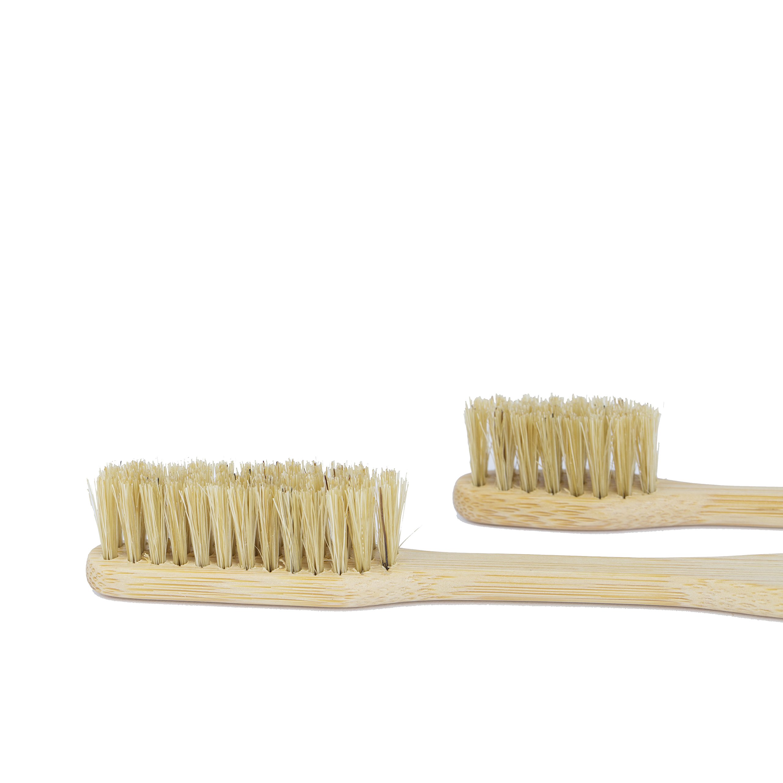 PETIQUE 100% Sustainable Bamboo Pet Toothbrush – Small: for Dogs/Cats/Pets, Smooth Bamboo Handle, Boar's Hair Bristle, Eco-Friendly, Sustainable, Biodegradable, Non-Toxic, Compostable