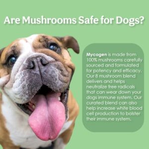 Mycogen for Dogs - Vitamins with 8 Types of Mushrooms - Support Immune System - 60 Soft Chews