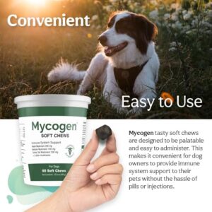 Mycogen for Dogs - Vitamins with 8 Types of Mushrooms - Support Immune System - 60 Soft Chews