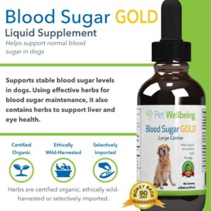 Pet Wellbeing - Blood Sugar Gold Value Size for Dogs & Cats - Natural Support for Healthy Blood Sugar Levels in Your Pet with Diabetes - 4 oz (118ml)