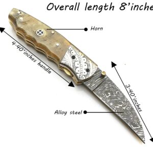 PAL 2000 KNIVES FOL-9122 Custom Handmade Damascus Steel Blade Folding Pocket Knife with Sheath - Liner Lock Folding Knife Best for Hunting, Survival, EDC, Camping, and Hiking.