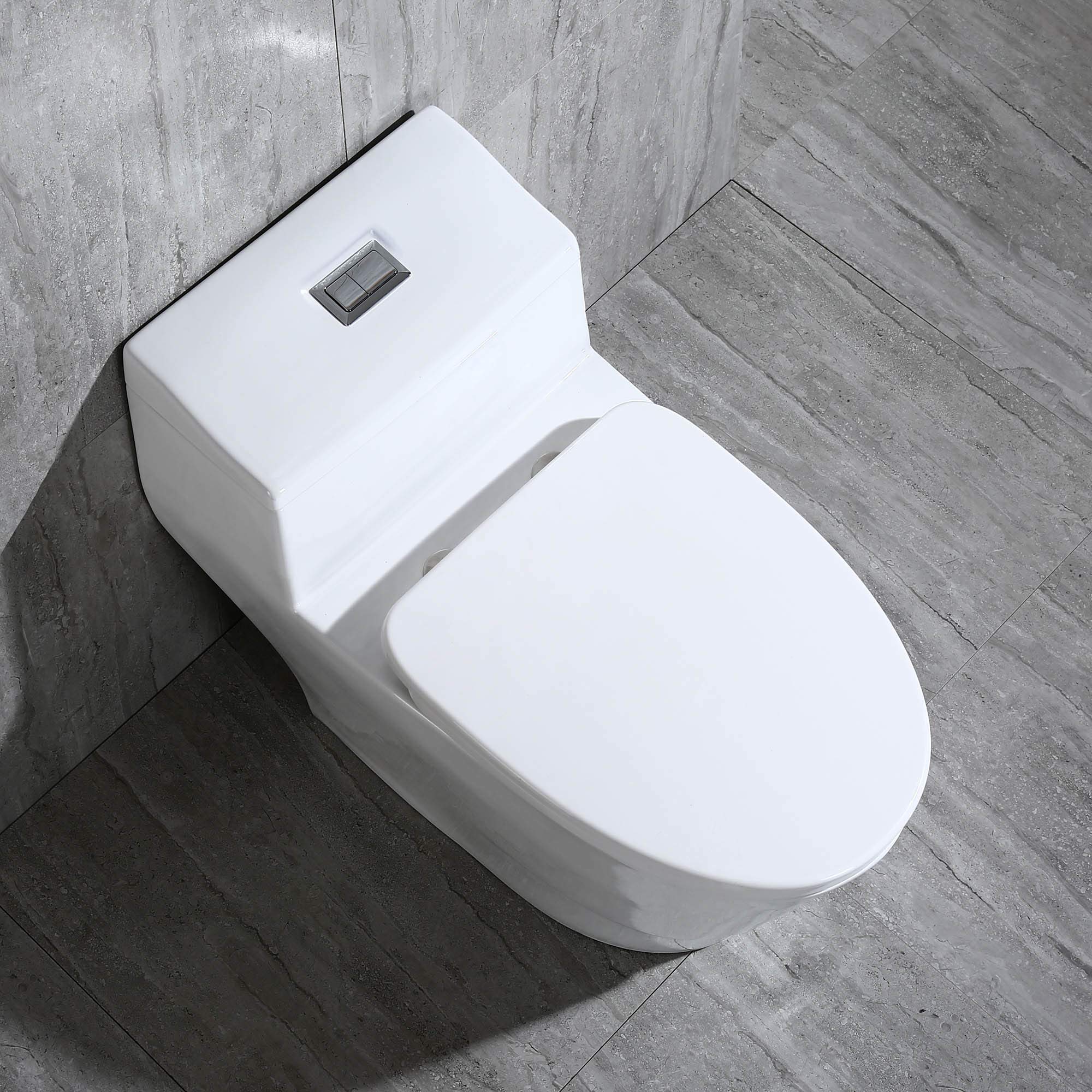 Woodbridgebath T-018 Dual Flush Elongated One Piece Toilet with Soft Closing Seat, Comfort Height, Water Sense