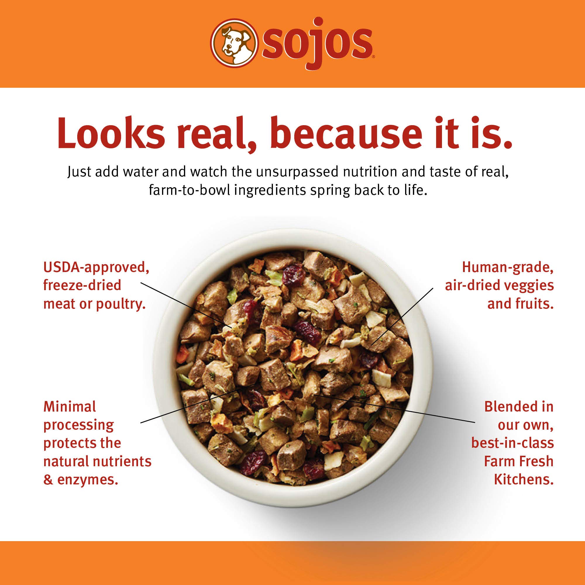 Sojos Complete Lamb Recipe Dehydrated Dog Food, 7 lb