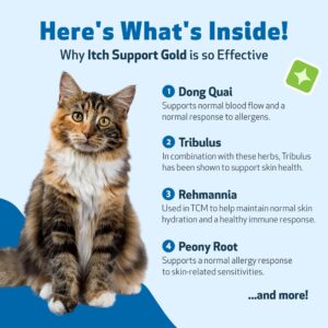 Pet Wellbeing Itch Support Gold for Cats - Occasional Itching, Scratching, and Hot Spots, Environmental and Seasonal Allergies, Dong Quai - Veterinarian-Formulated Herbal Supplement 2 oz (59 ml)